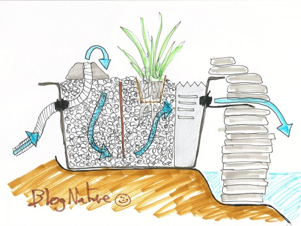 schema_filtration_bassin_jardin_blognature – BlogNature.fr